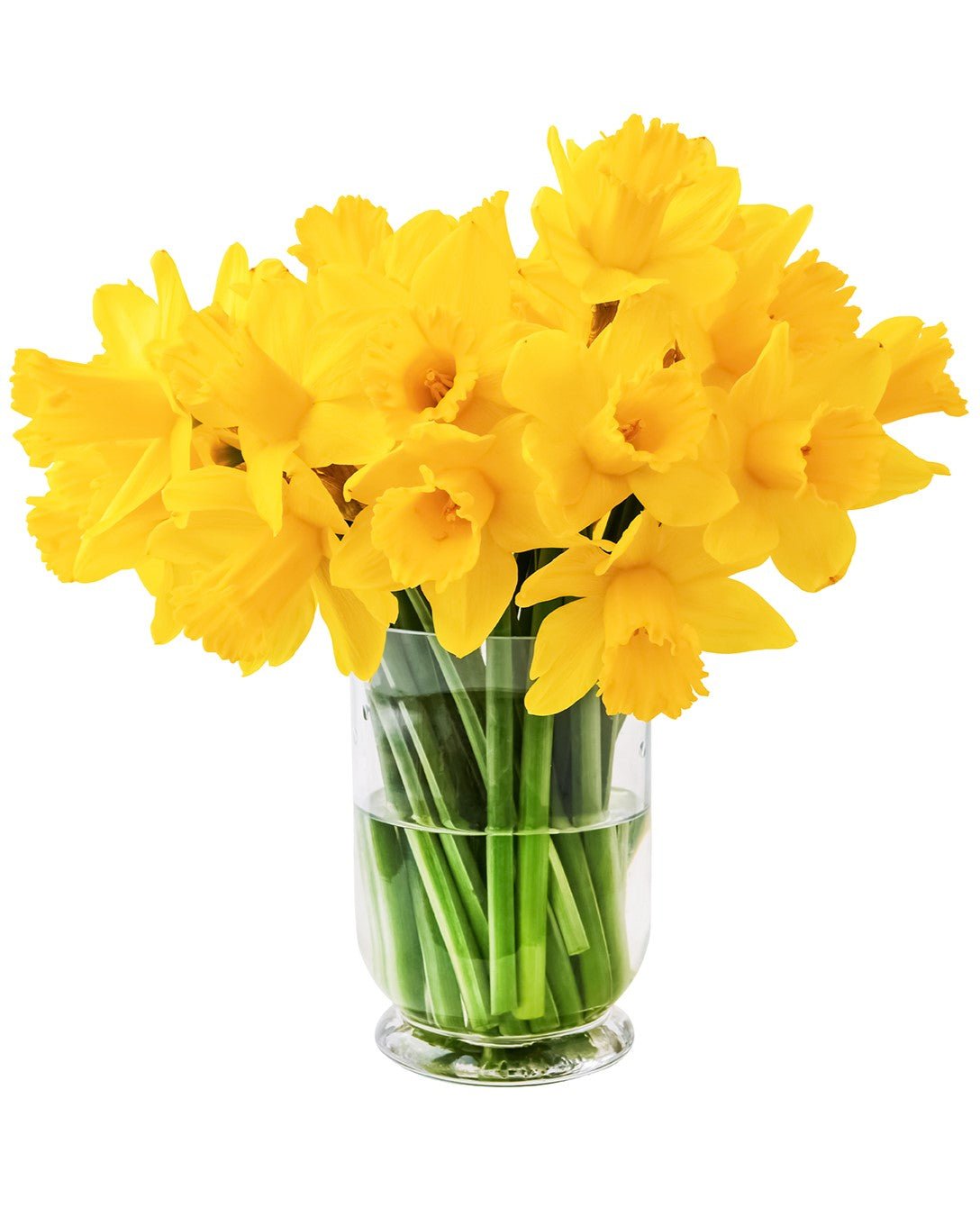 Bright Daffodils – Order Now for Next-Day UK Delivery – Flowers by Flourish