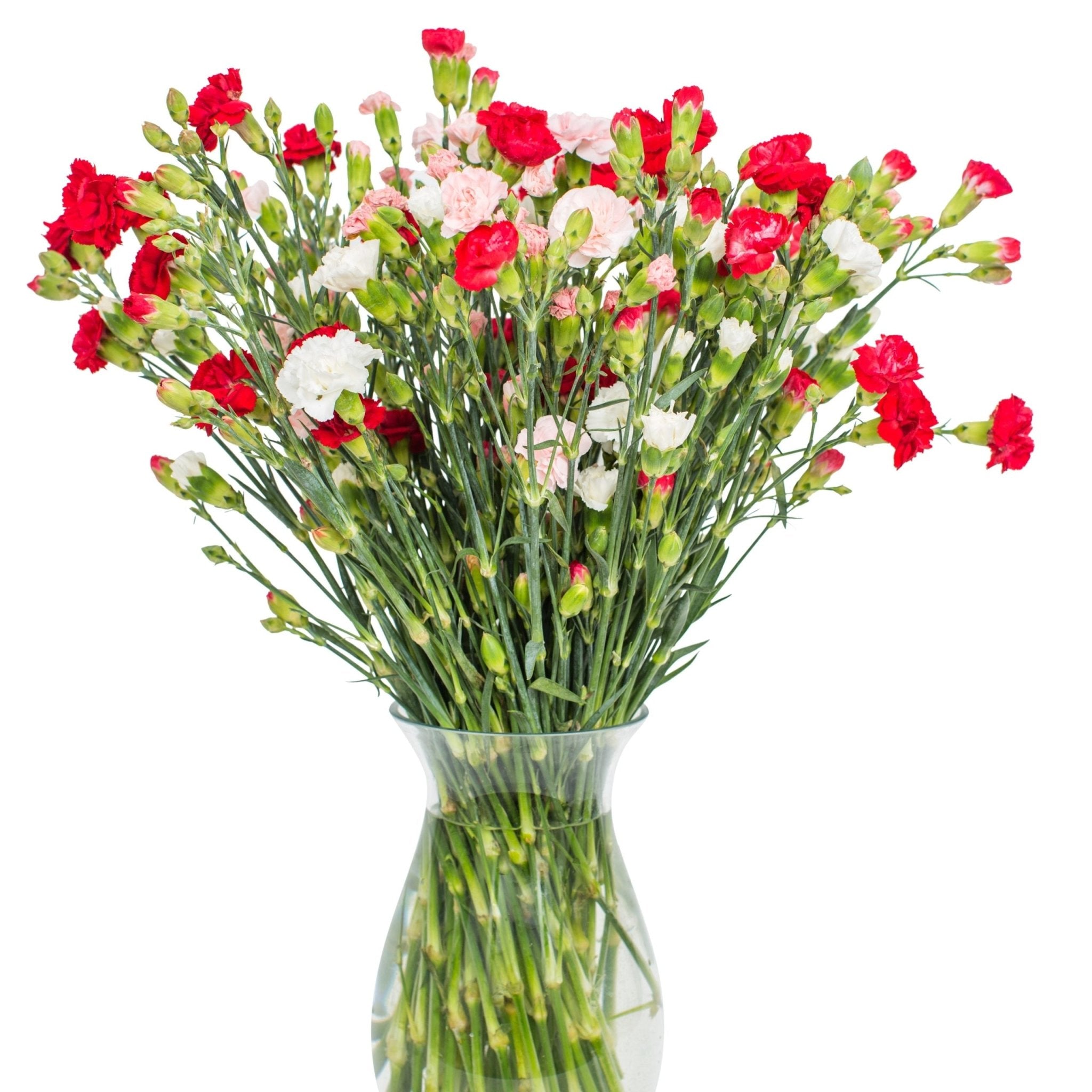 Mixed Spray Carnations | Send Mixed Spray Carnations | Flowers by Flourish